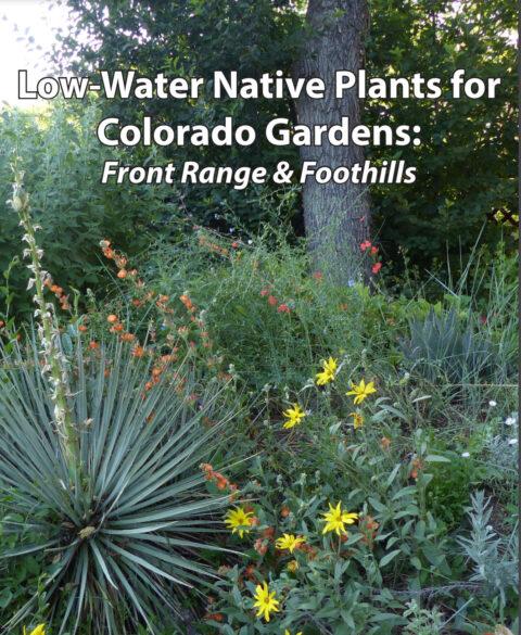 WaterWise Native Plants by Region - Colorado Native Plant Society