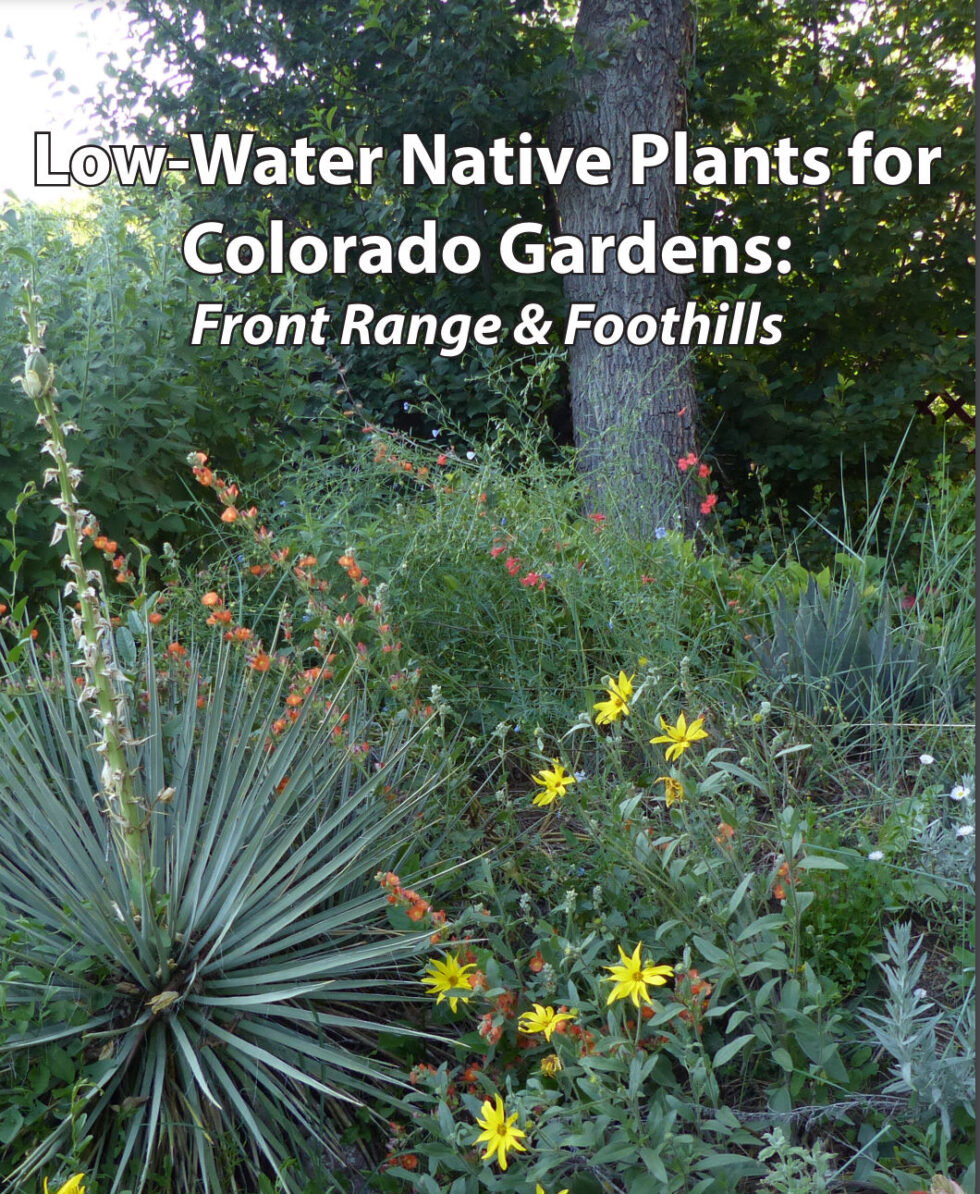 WaterWise Native Plants by Region - Colorado Native Plant Society