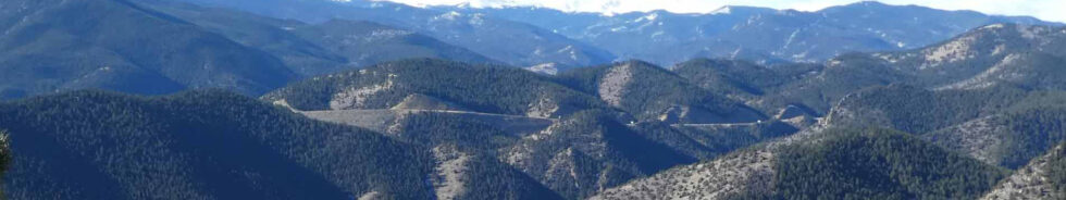 Foothills Plants and Habitats - Colorado Native Plant Society